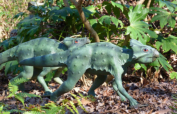 The Late Cretaceous | Nature Watch