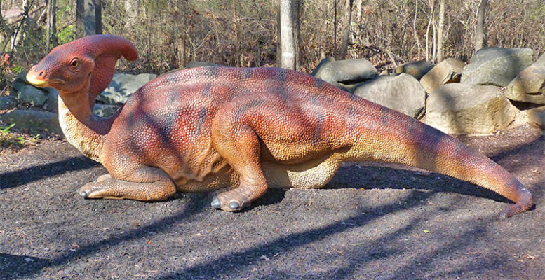 The Late Cretaceous | Nature Watch