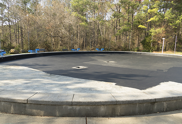 Sailboat Pond, Bright and Shiny | Nature Watch