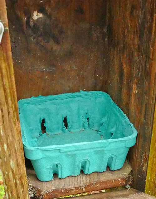 Nest Box Update 3.23.20 | Nature Watch