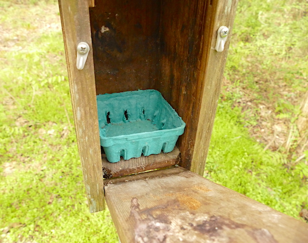 Nest Box Update | Nature Watch
