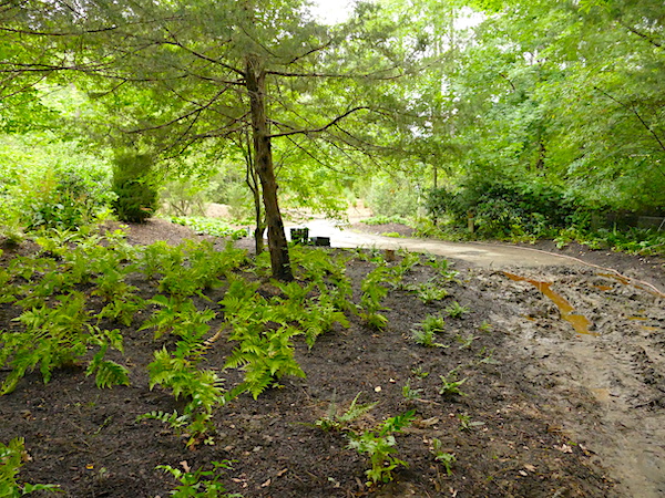 What’s Happening on the Outdoor Loop | Nature Watch