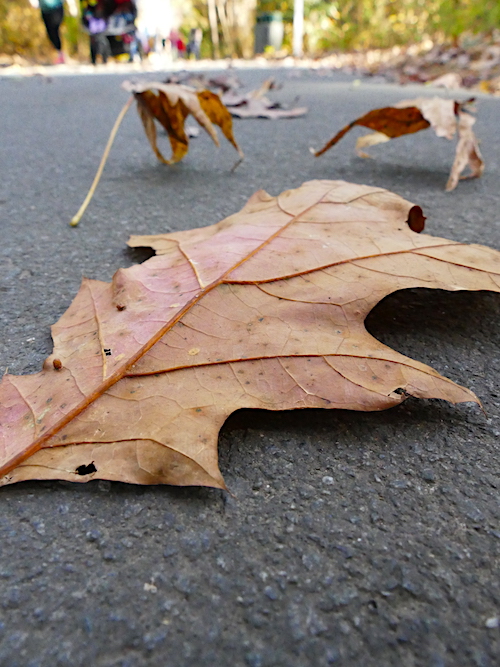 It’s Crunch Time! | Nature Watch