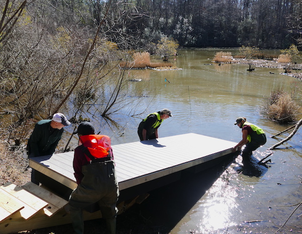 New Arrivals in Wetlands | Nature Watch
