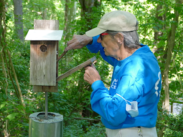 Nest Box Update 5.10.22 | Nature Watch